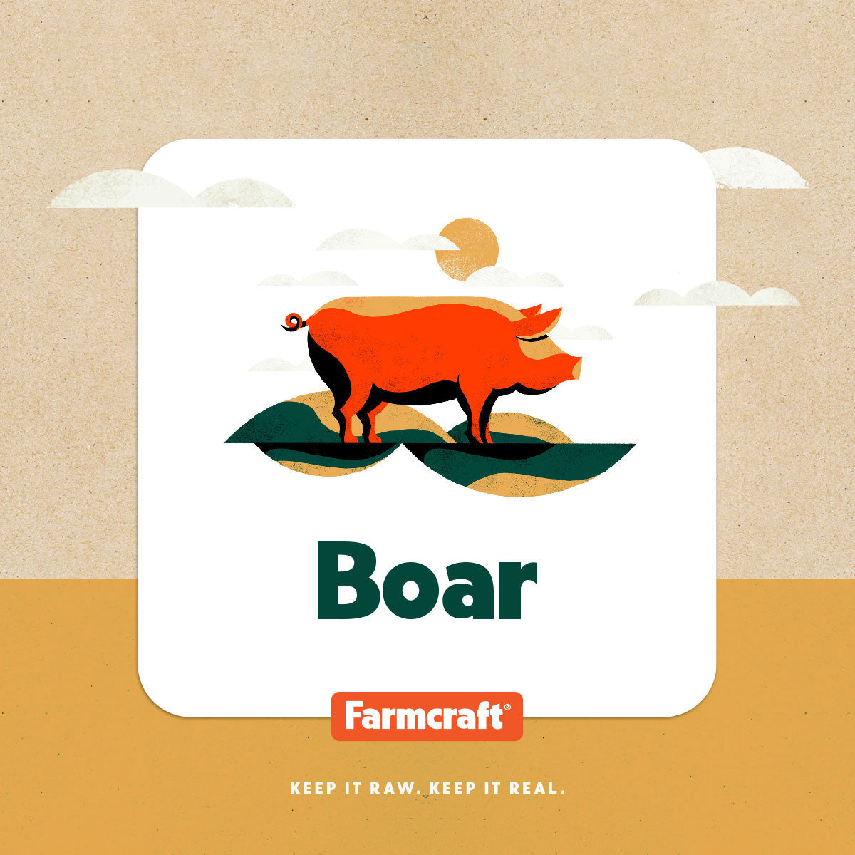 Boar – Farmcraft